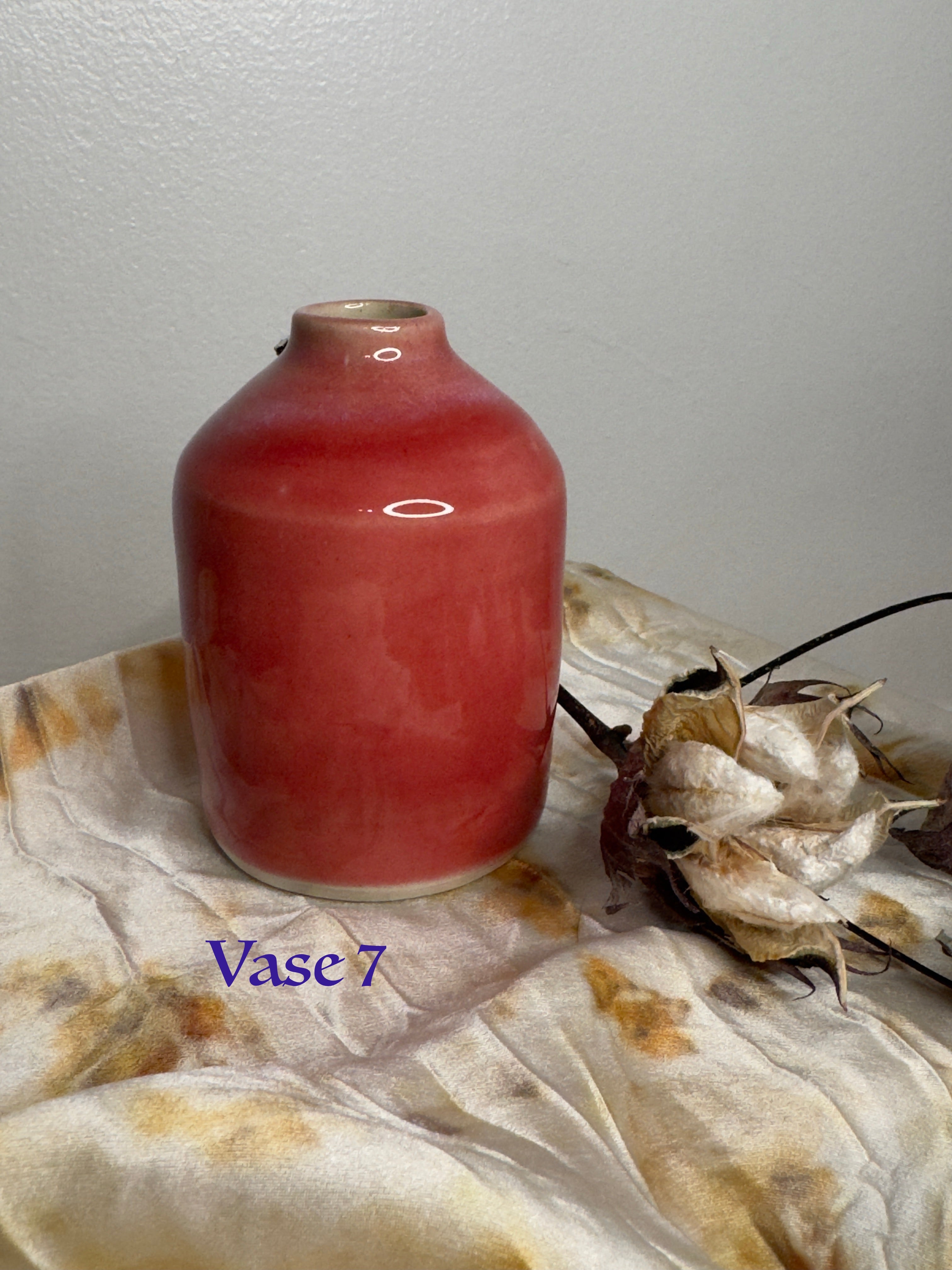 Little Vase 7 – Snapdragon Flower Farm