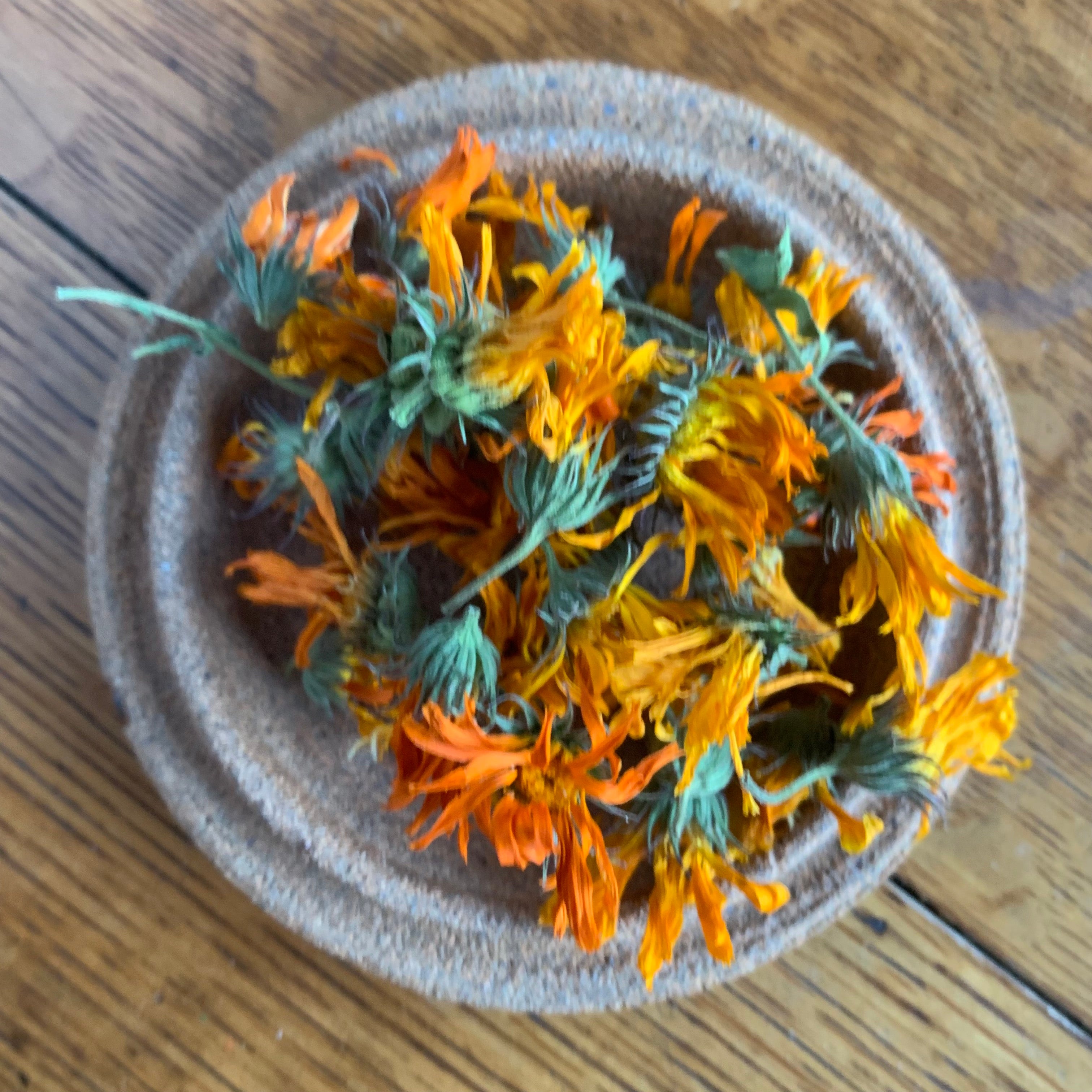 Calendula, dried – Snapdragon Flower Farm